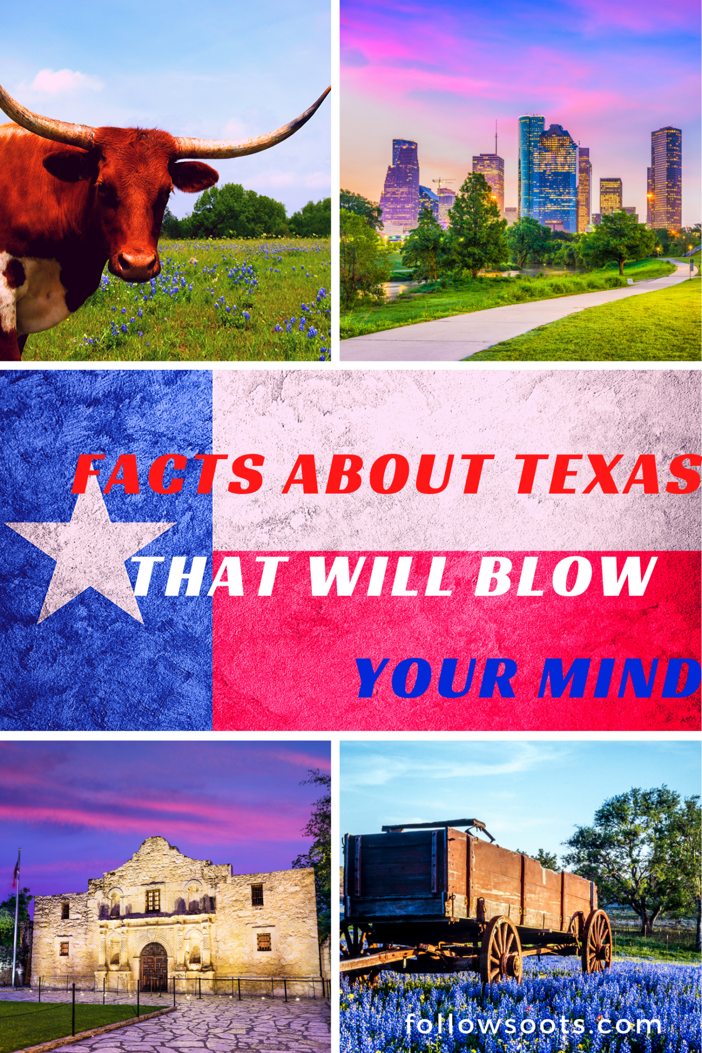 Fun Facts About Texas That Will Blow Your Mind - Followsoots.com