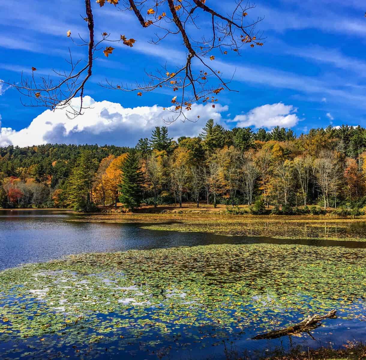 Fall at Moses Cone Memorial Park - Followsoots.com
