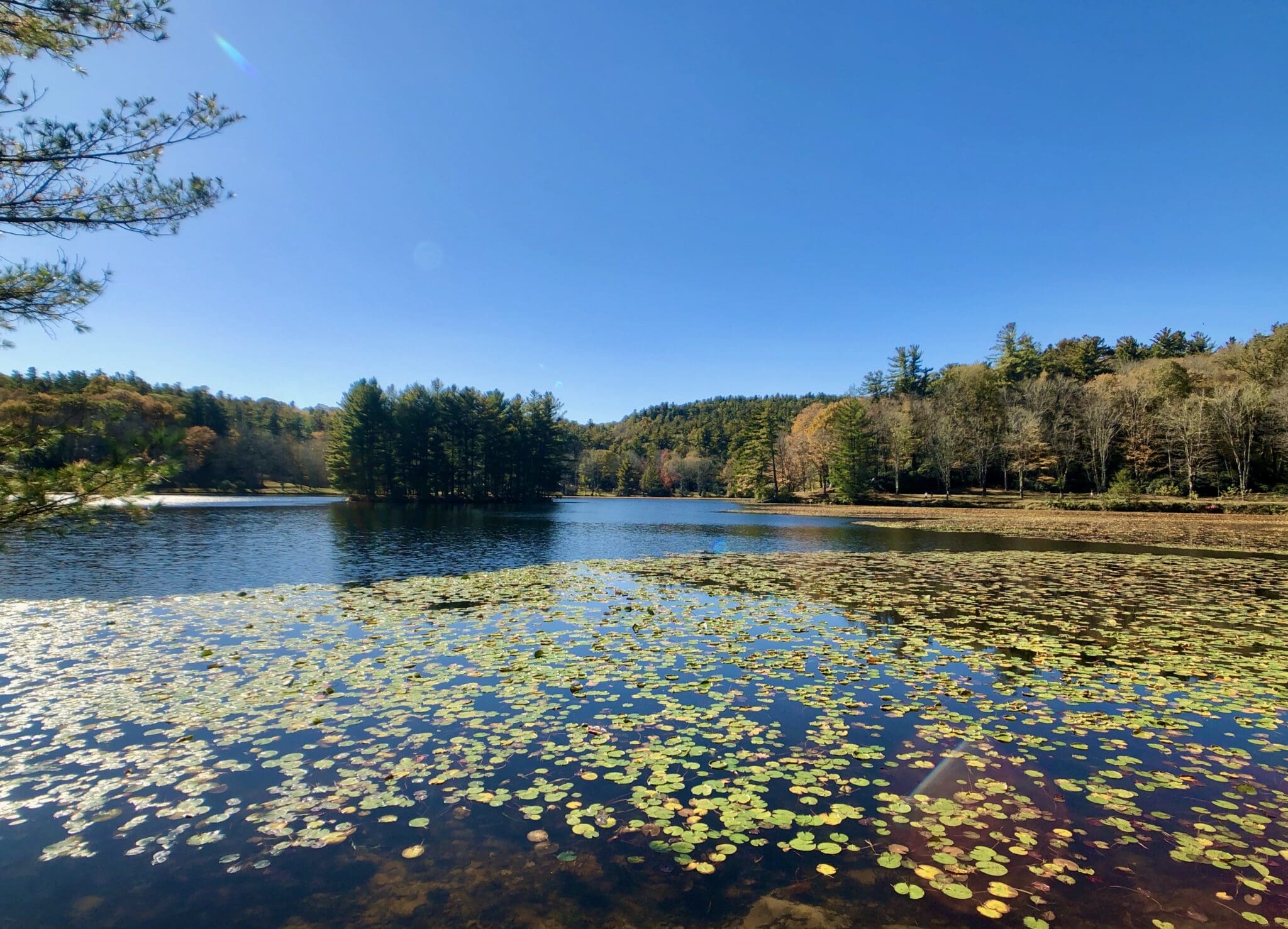 Fall at Moses Cone Memorial Park - Followsoots.com