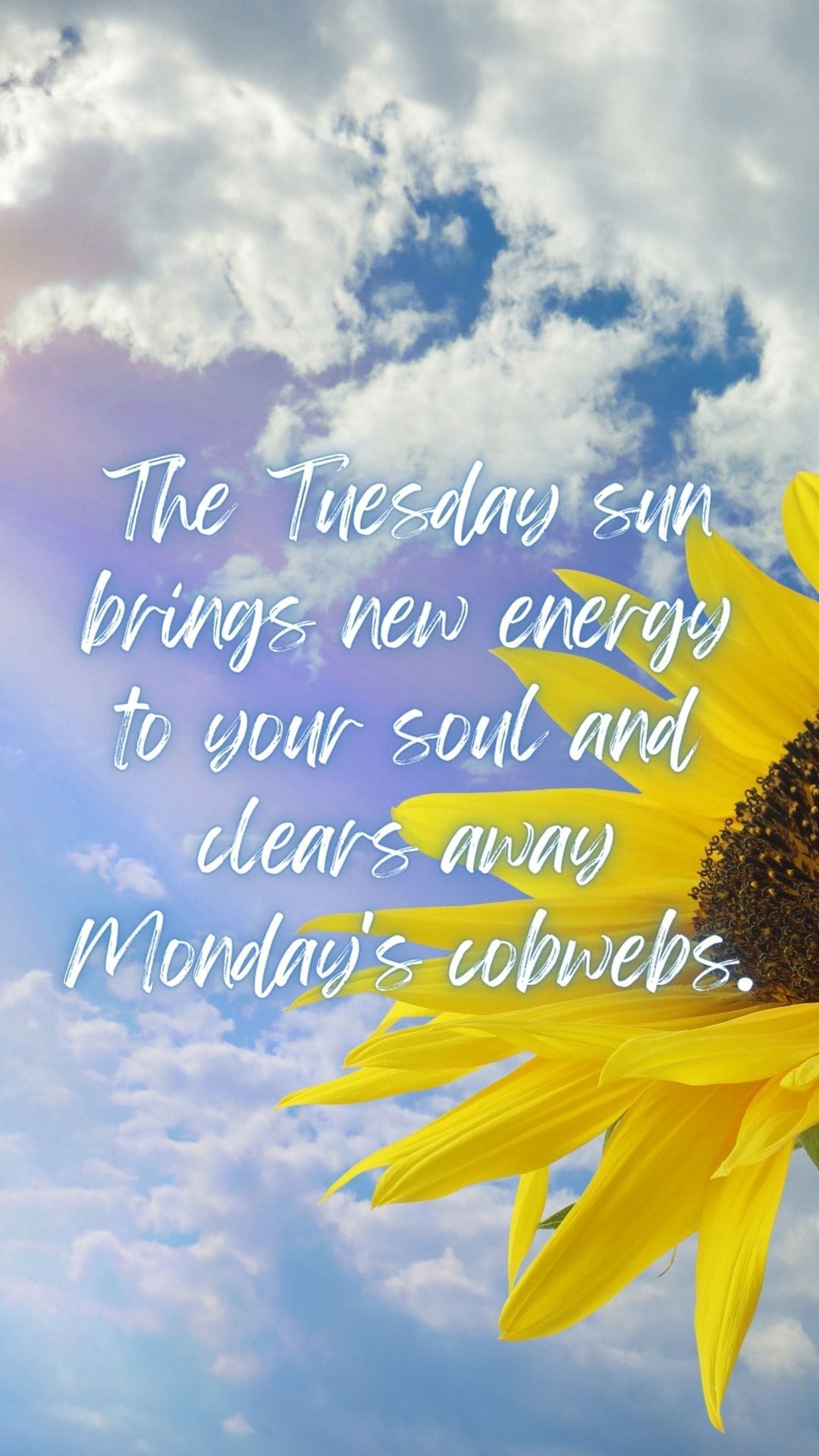 125 Tuesday Morning Inspirational Quotes with Free Wallpapers ...